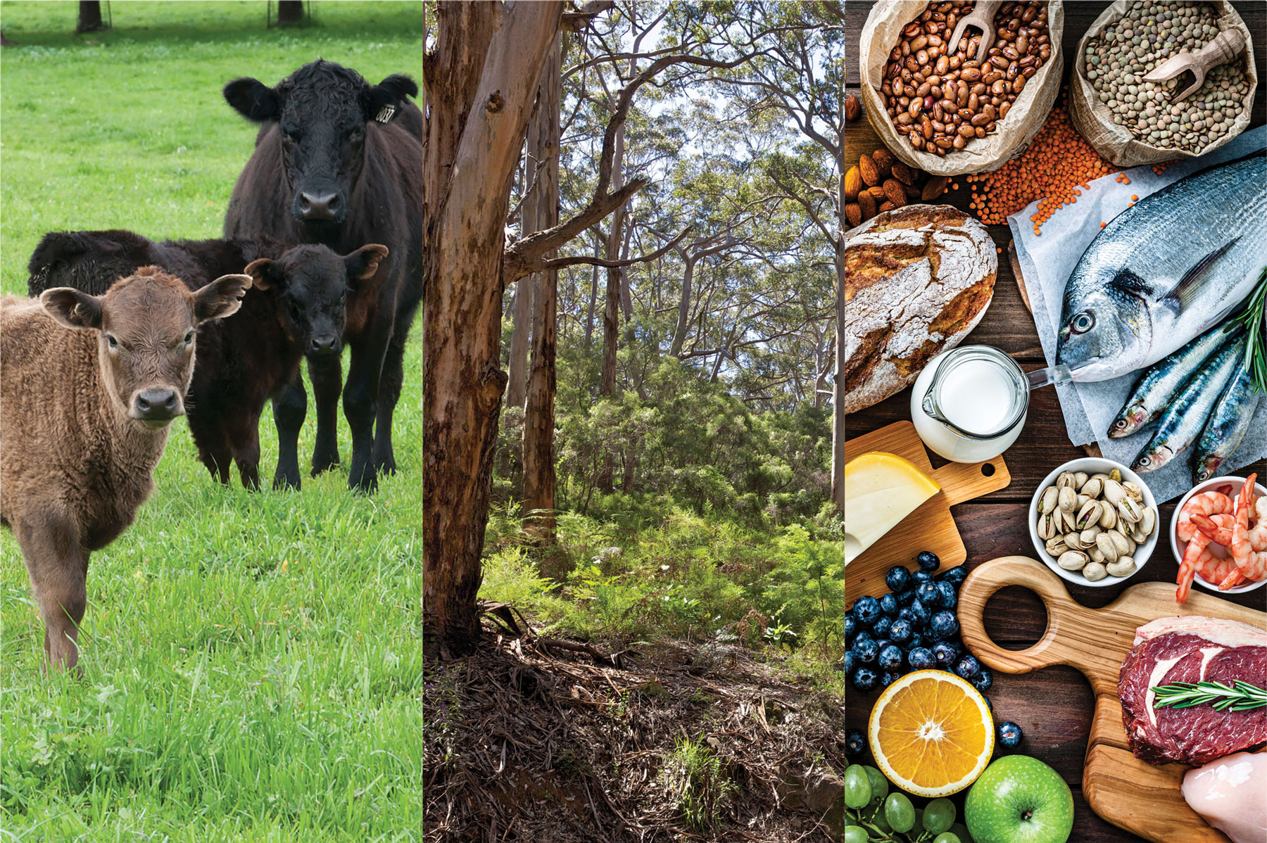 Act now to comment on WA biosecurity laws